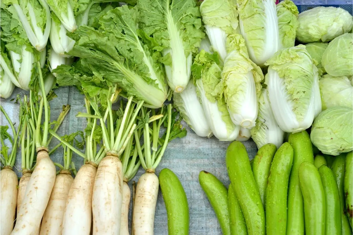 Types of Thai Veggies: A Comprehensive Guide