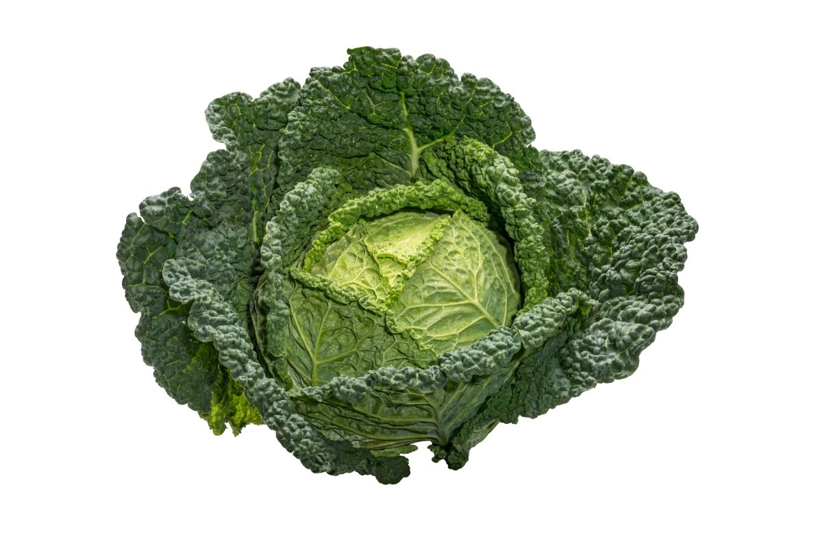 Types of Cambodian Veggies: A Guide to Traditional Greens