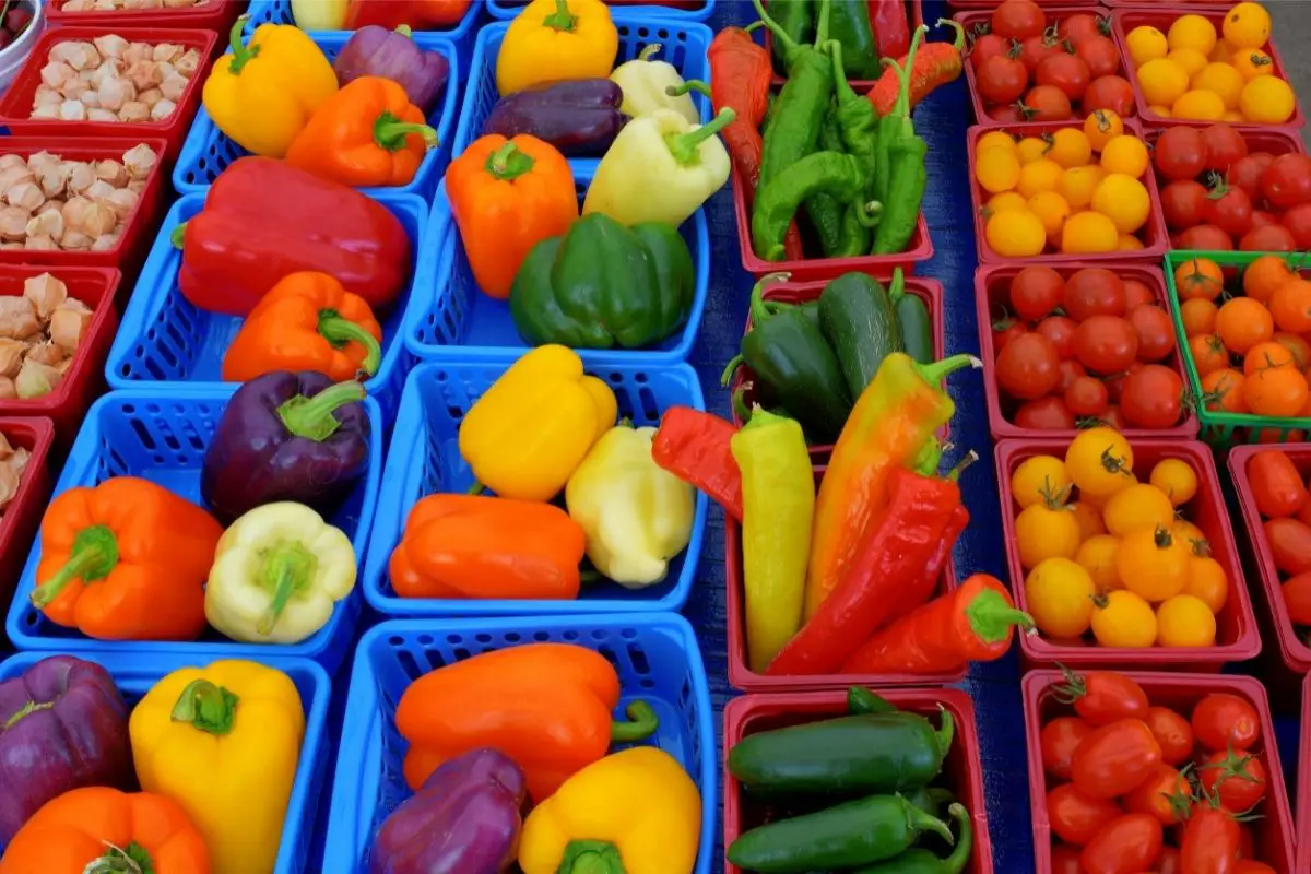 Types of Italian Veggies: A Guide to Popular Italian Vegetables