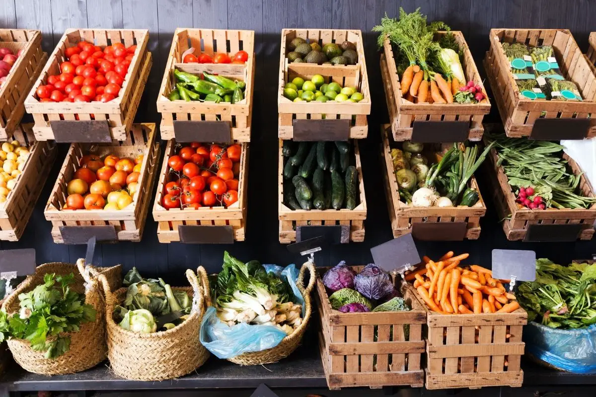 Types of Jamaican Veggies : Discover the Bounty
