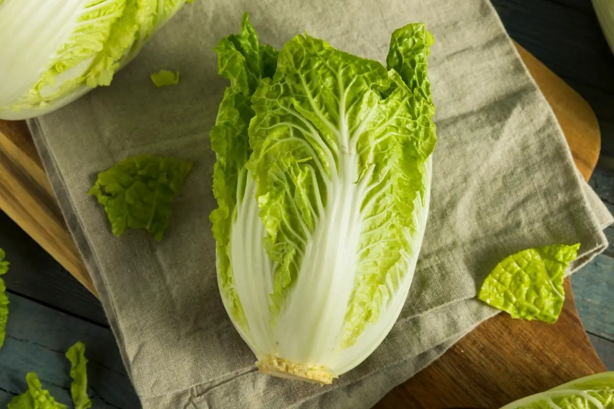 Nutritious Napa Cabbage: Veggies That Start With 'N