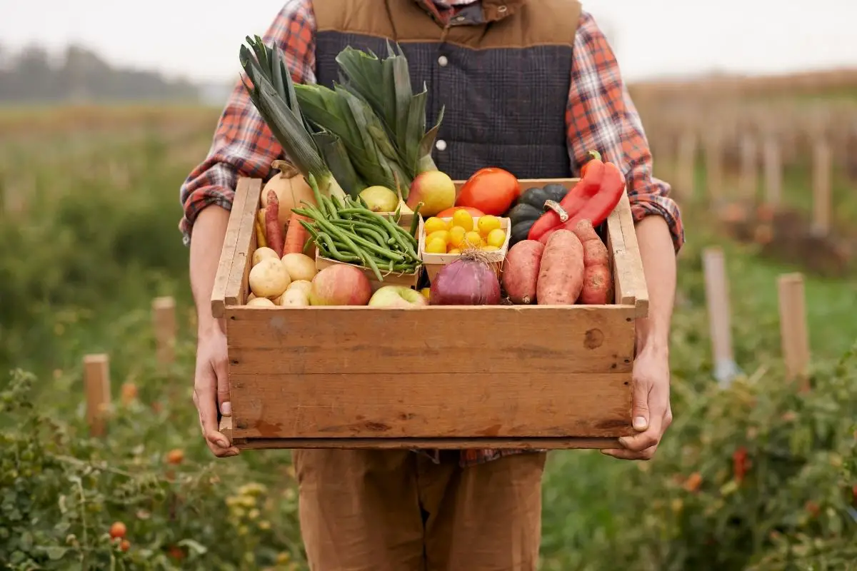 Veggies That Start With ‘P’ - Packed with Nutrients for Your Kitchen