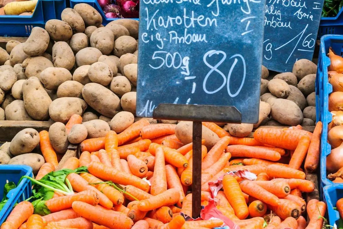 Types Of German Veggies Traditional And Nutritious Choices