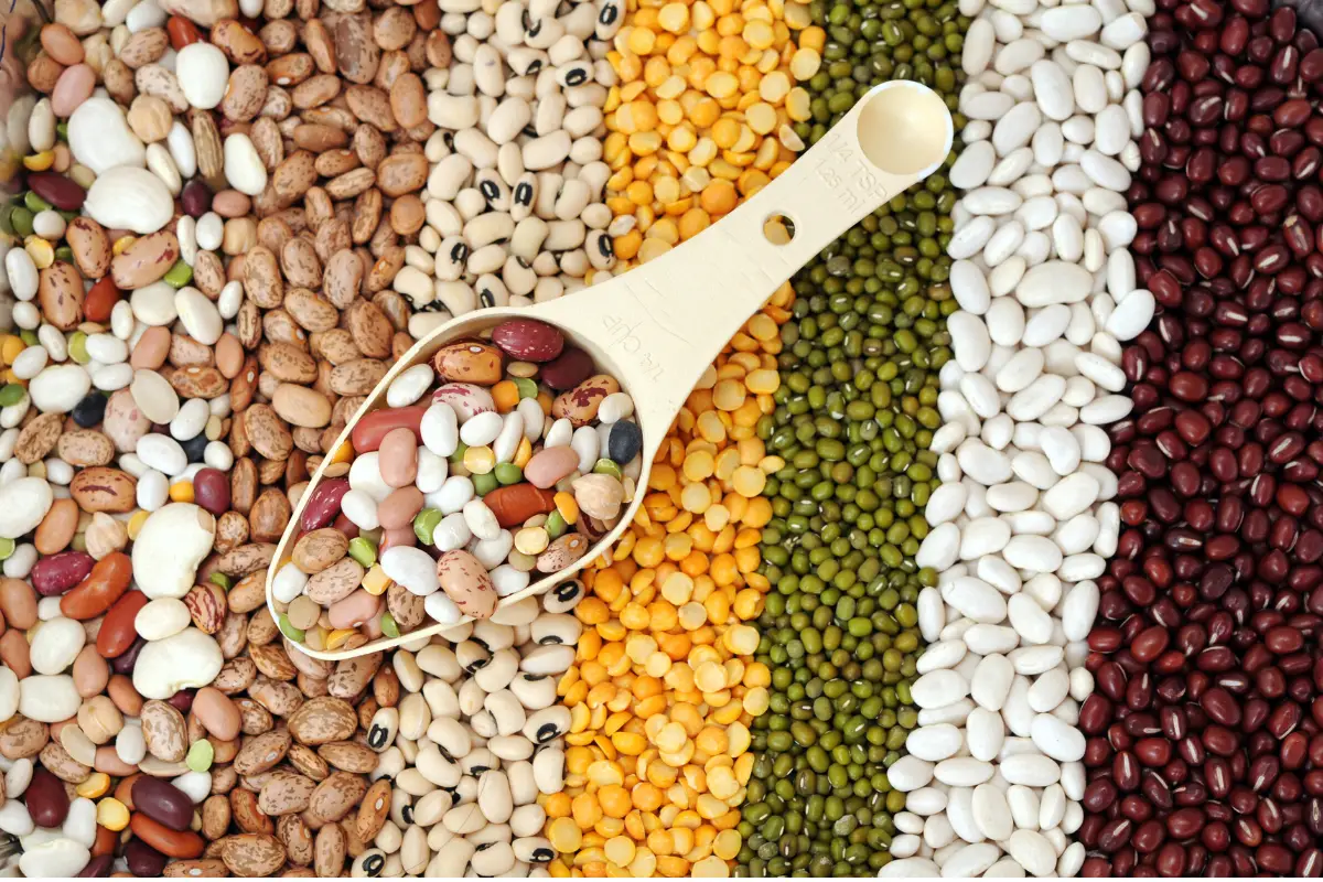 The Truth About Beans: Are They Really Fruits or Vegetables? - AI ...