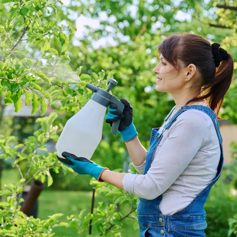 Green Thumbs Pest Deterrent Guide: Keep The Bugs At Bay