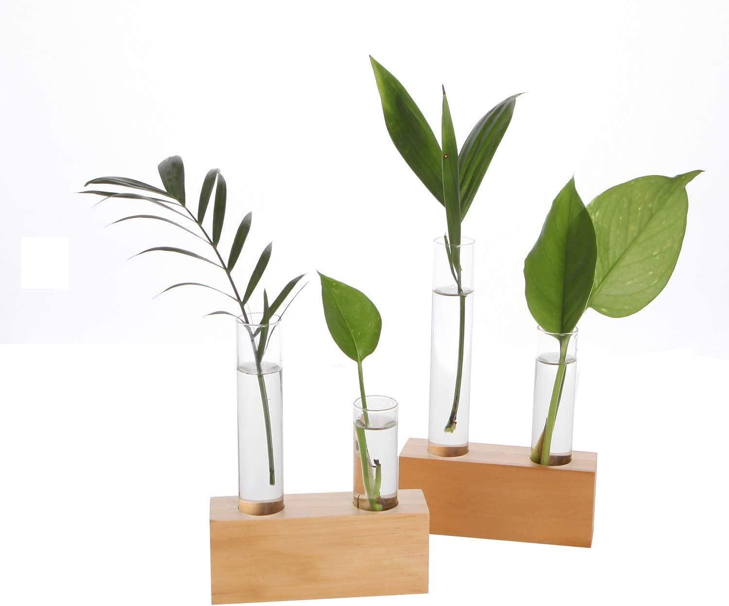 Best Plant Propagation Stations Online: Top Picks for Gardener